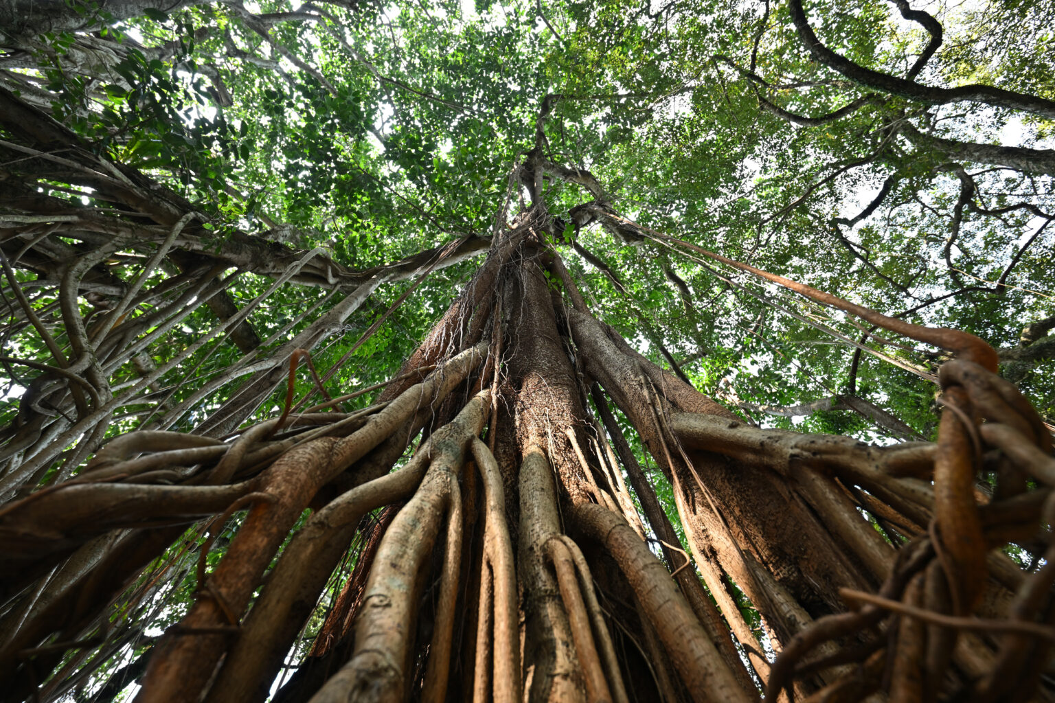 16-30mm F/2.8 Di III VXD G2 Sony E Mount/ Nikon Z Mount | TAMRON HK | 騰龍香港